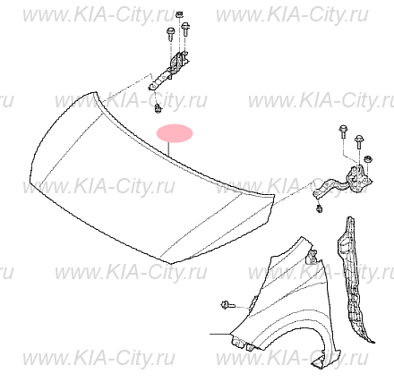 Кузовные детали для Kia Picanto III (Киа Пиканто 3)